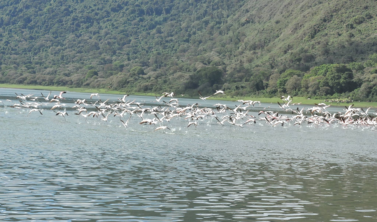 Day Trip to Olmoti and Empakai Crater in Ngorongoro Highlands