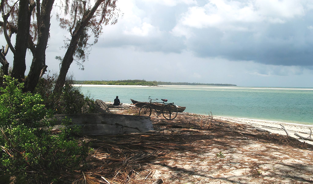 Chole Island Tour