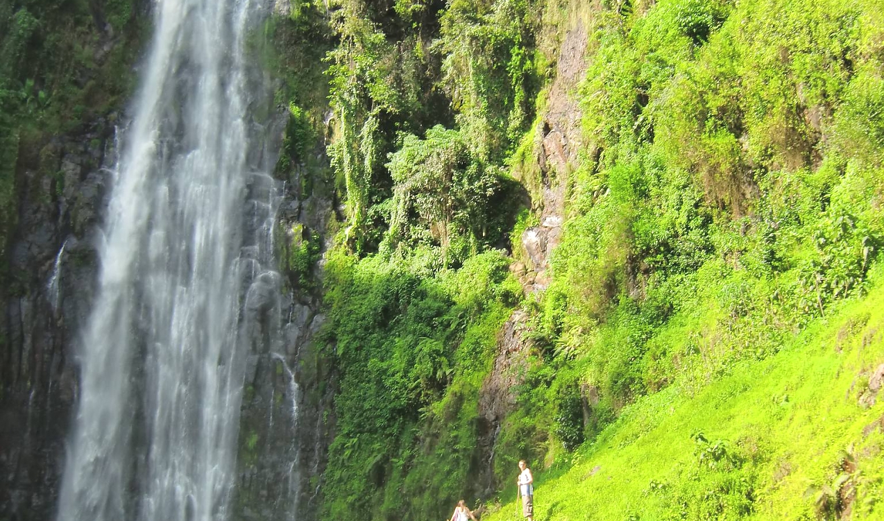 Day Trip to Materuni Waterfalls and Coffee Tour