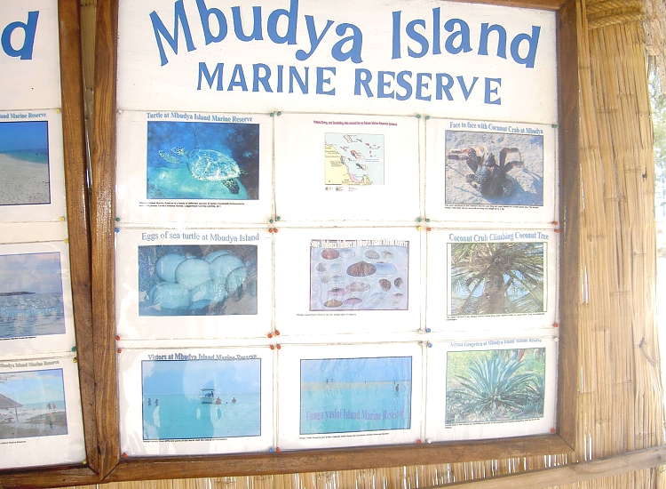 Mbudya Island Day Trip