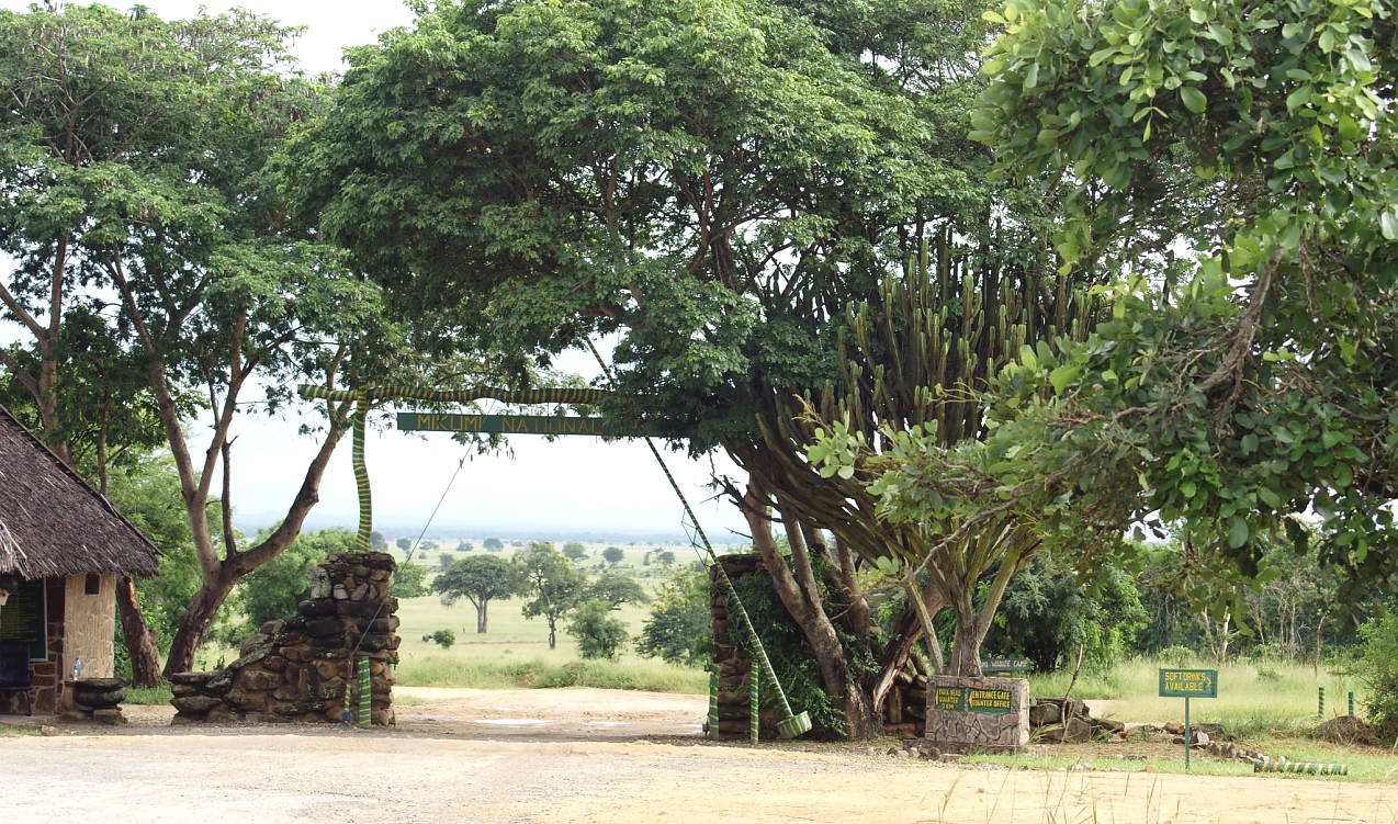 Day Trip to Mikumi National Park