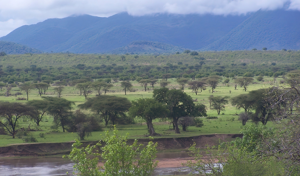 2 Days Safari to Ruaha National Park