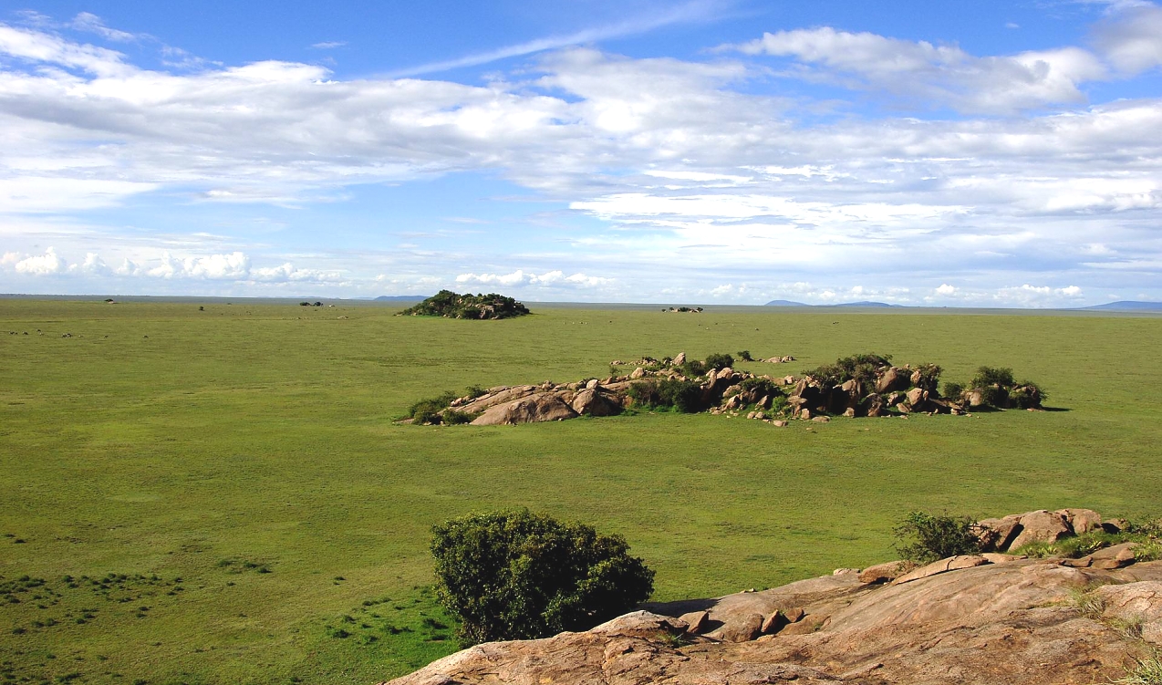 3 Days to Serengeti National Park and Ngorongoro Crater