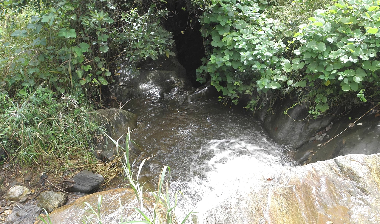 3 Days Trip to Uluguru Mountains & Choma Waterfalls